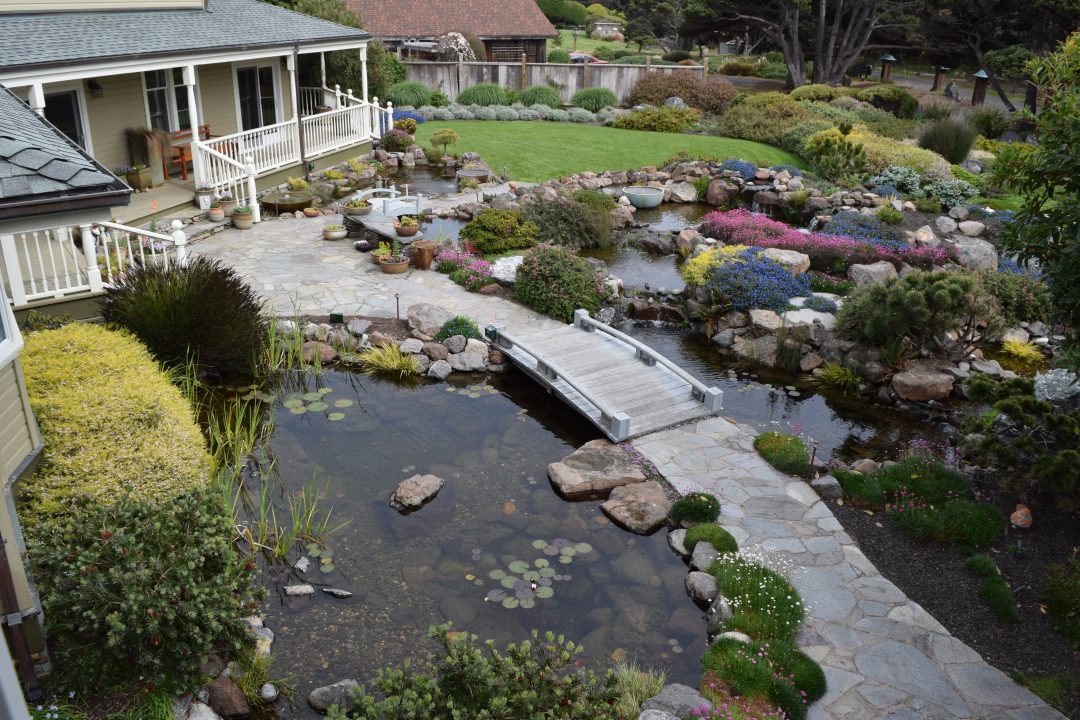 Landscaping Around Your Pond - Sweetwater Landscape, Inc.