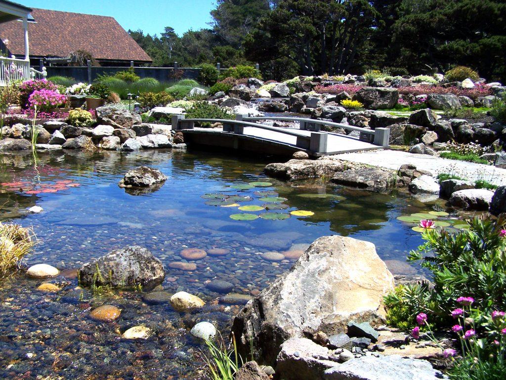Top 4 Pond Problems and Solutions - Sweetwater Landscape, Inc.