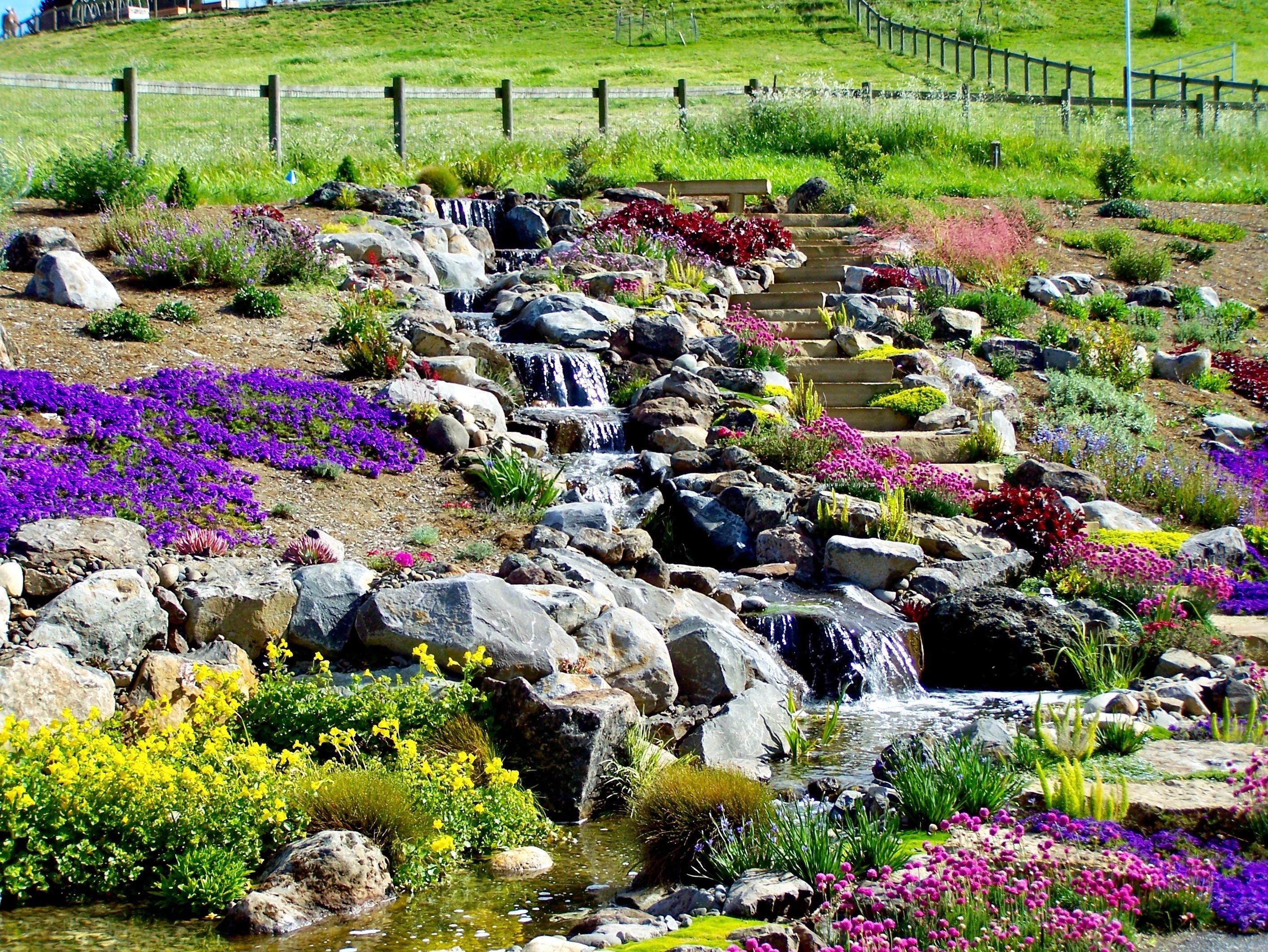 Landscaping Around Your Pond - Sweetwater Landscape