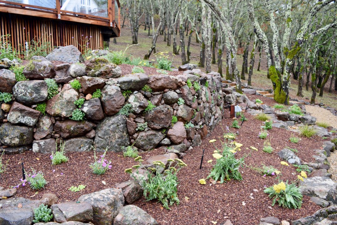 10 Steps to a Successful Landscape