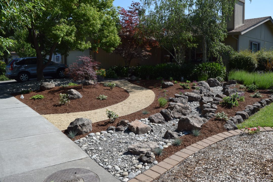 10 Steps to a Successful Landscape