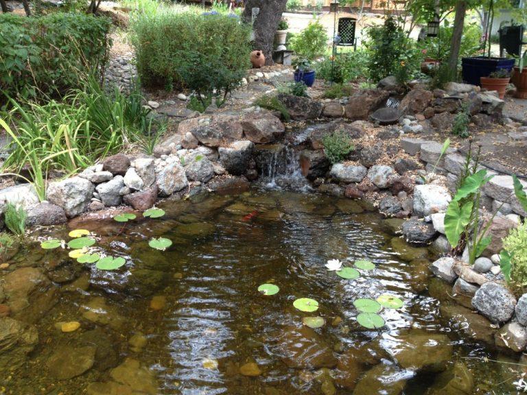 Ecosystem Pond Projects | Sweetwater Landscape