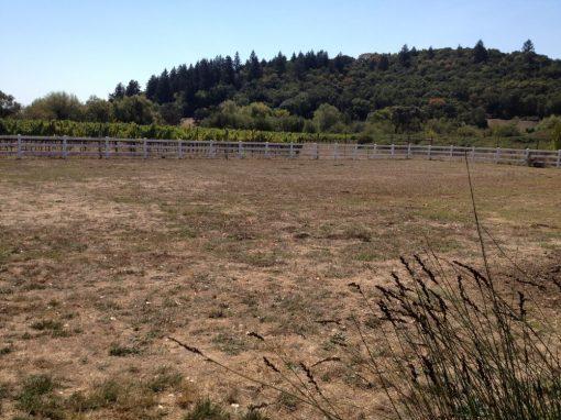 Ecosystem Pond Projects | Sweetwater Landscape