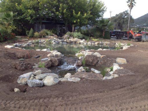 Ecosystem Pond Projects | Sweetwater Landscape