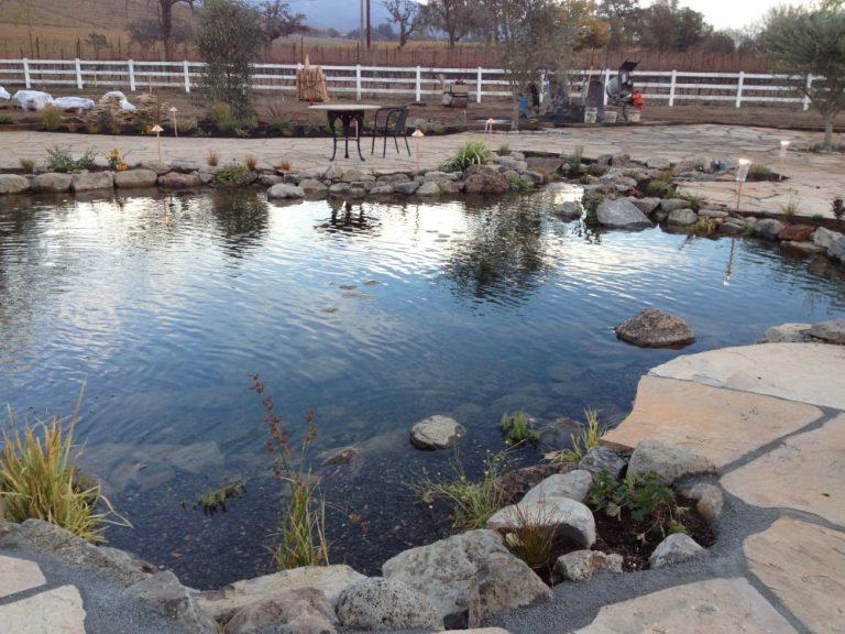 Ecosystem Pond Projects | Sweetwater Landscape