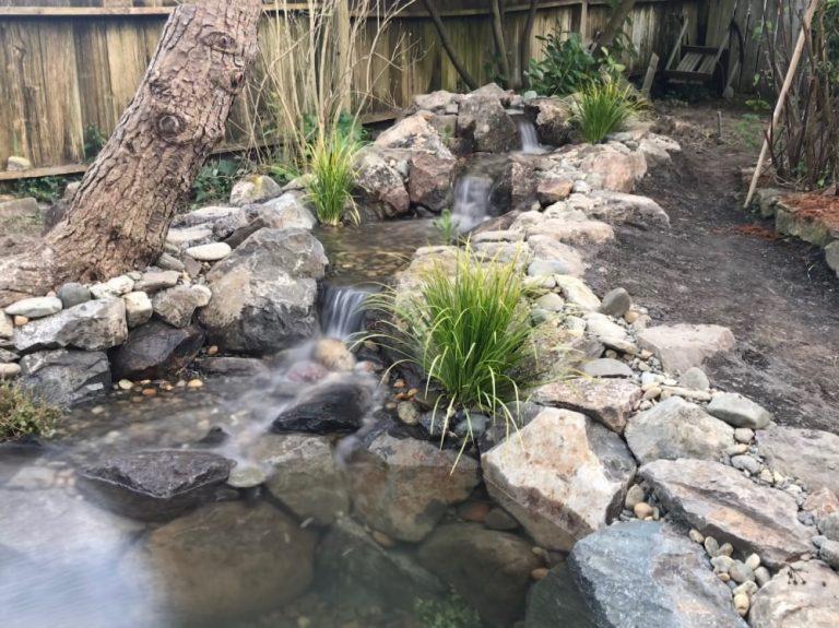 Ecosystem Pond Projects | Sweetwater Landscape