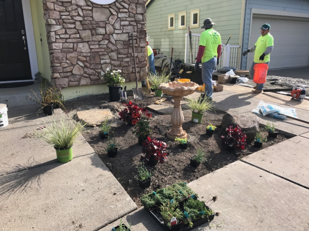 Four Stunning Garden Structure Ideas To Transform Your Landscape