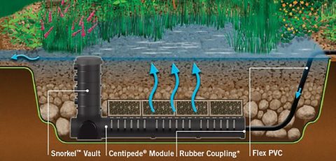 Constructed Wetland Filter – The Ultimate in Pond Filtration
